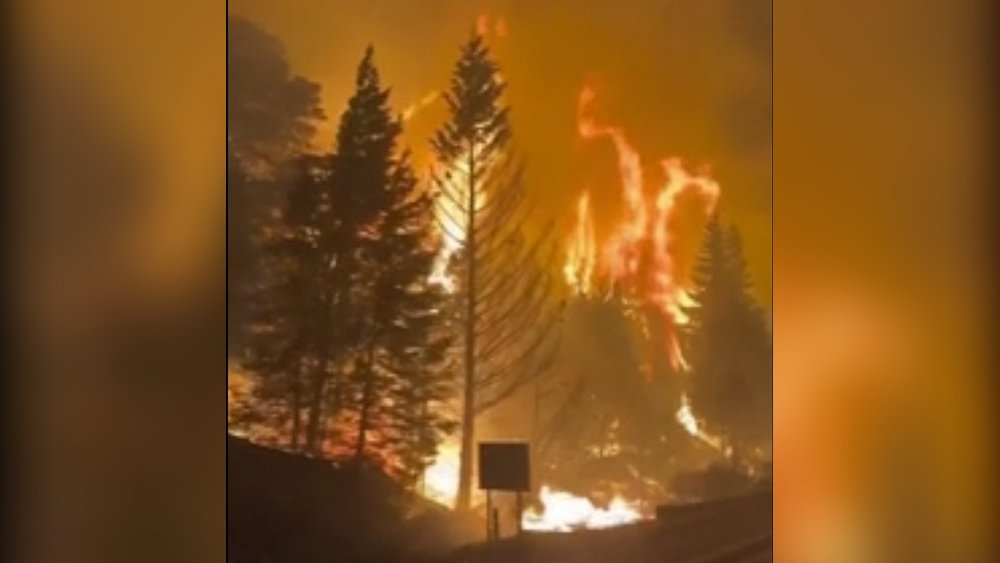 Hellfire: Violent forest fires ravage Argentina