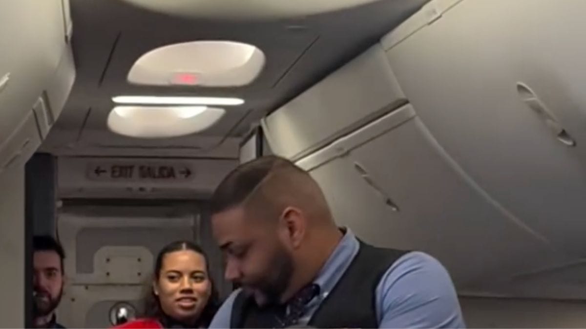 Stowaway cat on a plane: Crew's reaction captivates 2.6 million people ...