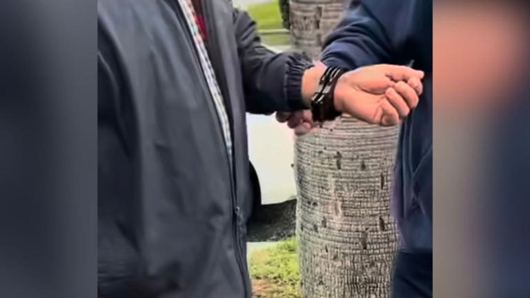 Orange County grandfather injured while resisting ICE; family says ...