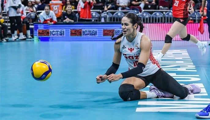 Van Sickle, Petro core to NXLED?