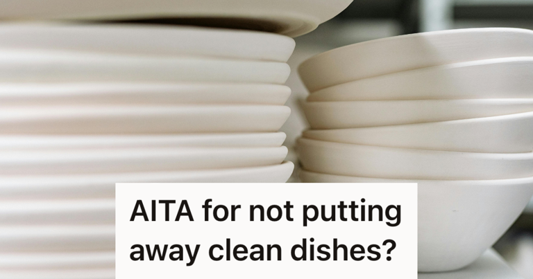 Roommate left clean dishes piled on the counter for days, so she ...