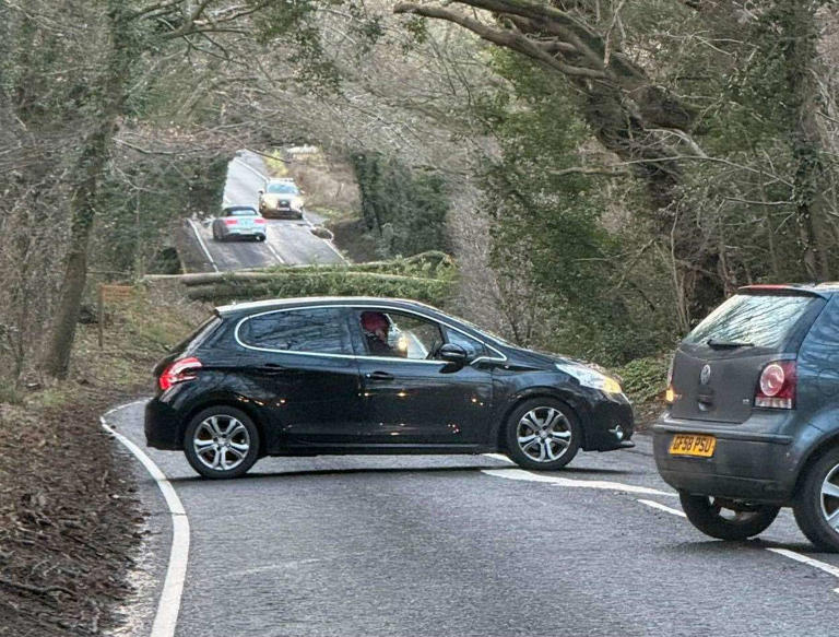 A257 blocked by fallen tree at Littlebourne, causing traffic queues ...