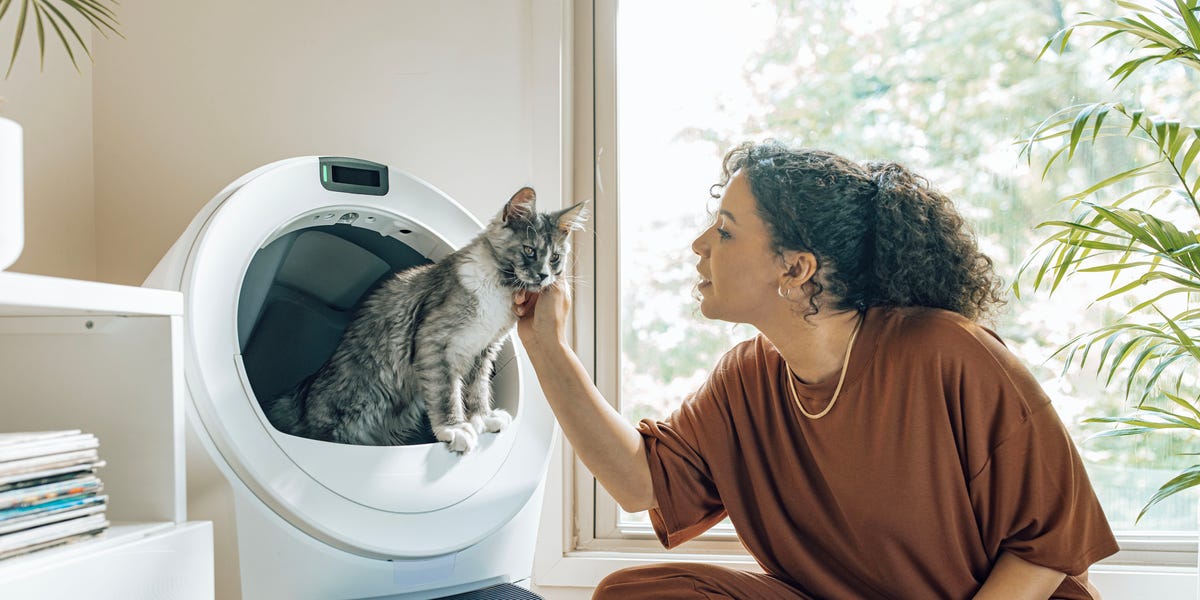 Is the Litter-Robot 5 Pro worth it? I reviewed it with my cat