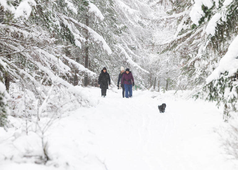 Scotland faces travel disruption as weather warnings stay in place