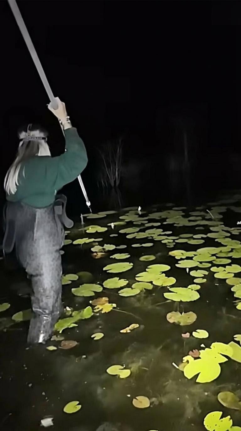 An unexpected turn during a spear hunting trip