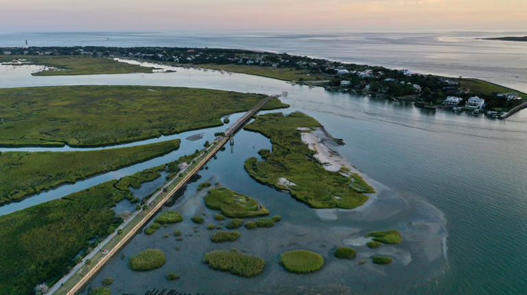 The most picturesque walk in the Charleston area must be this ...