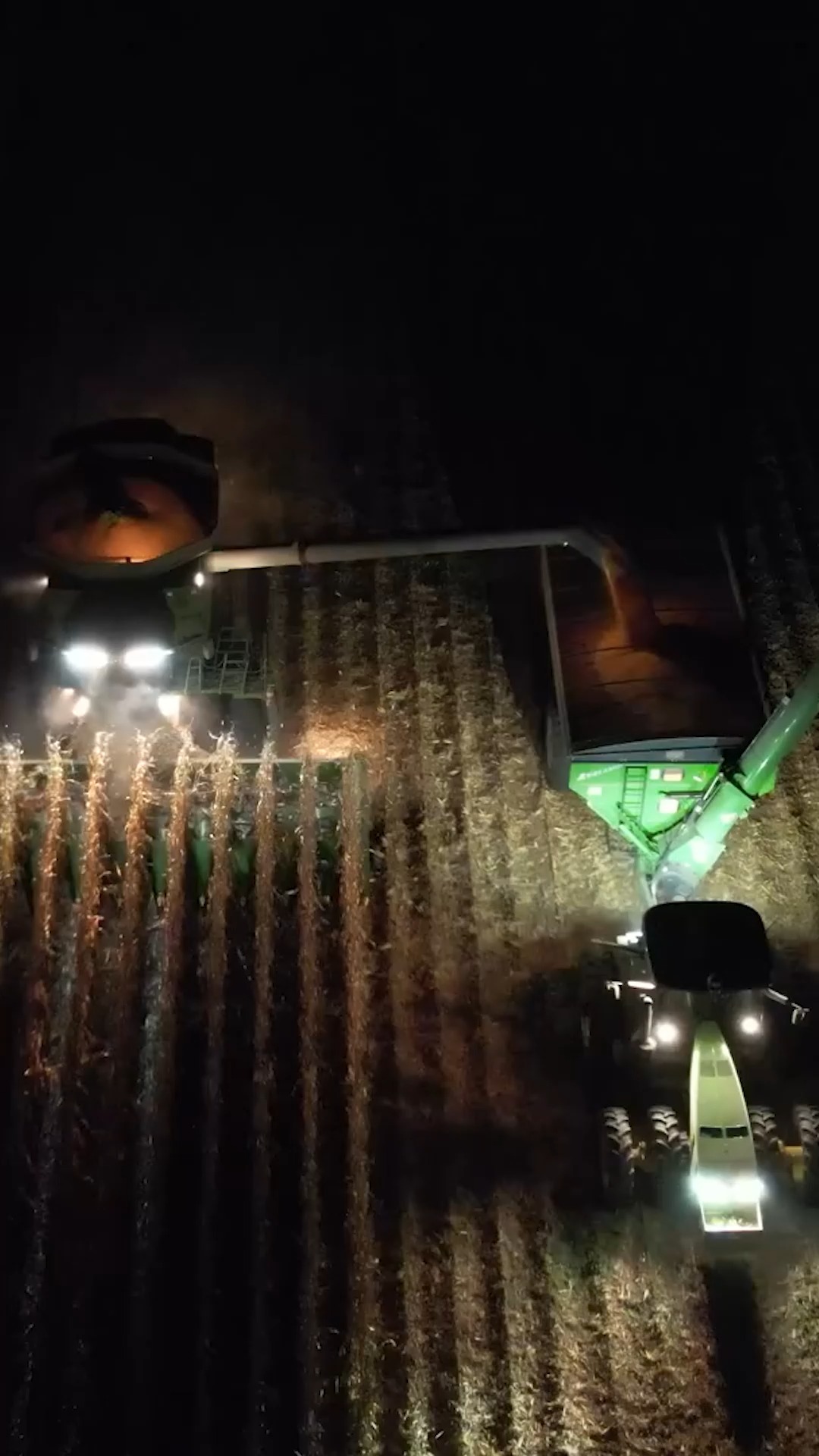 Harvesting corn at night