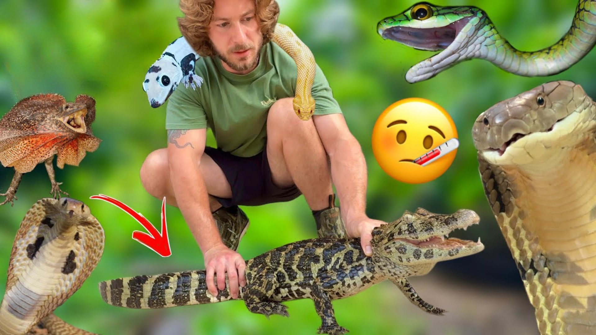 Test results for my sick caiman... the results are in