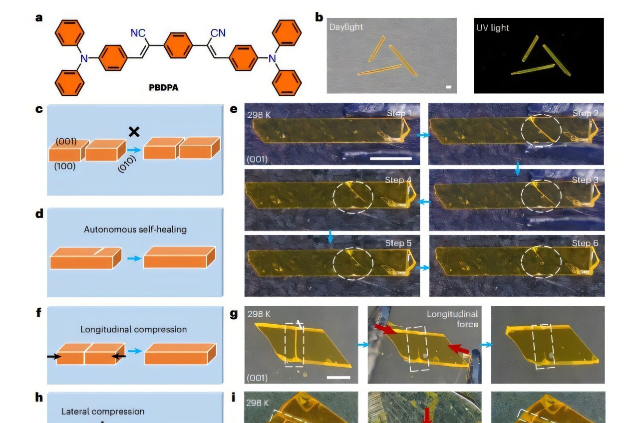 Organic crystals self-heal at cryogenic temperatures via zipping action