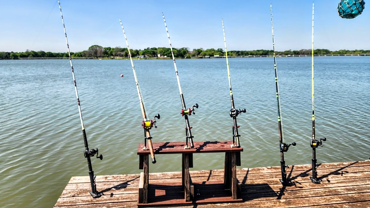 Giant catfish under the dock!