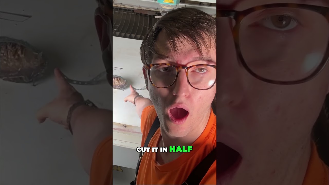 I found a mammoth tooth boat! 🚢