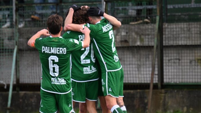 Avellino-Sampdoria 2-1: tabellino e voti dei lupi