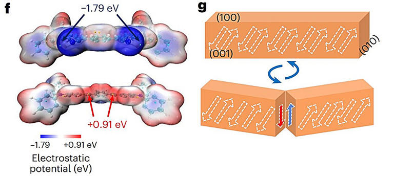 Organic crystals self-heal at cryogenic temperatures via zipping action