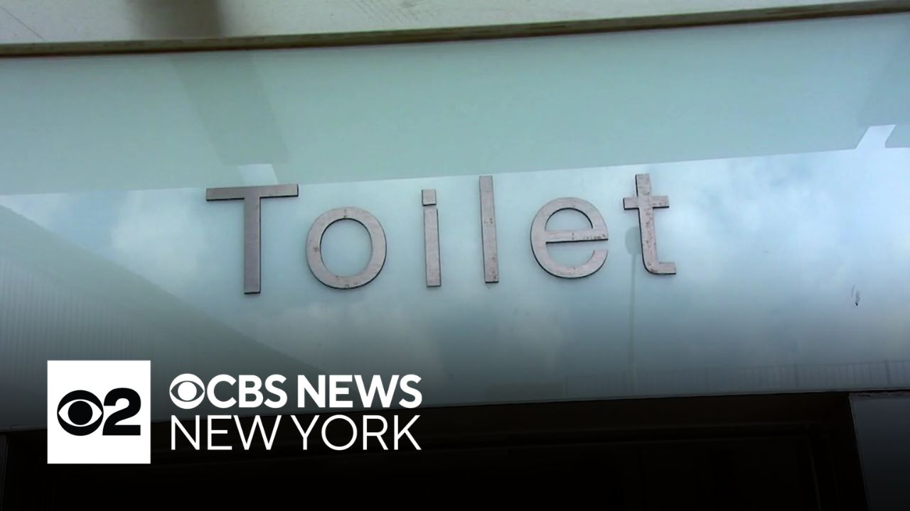 NYC mayor Mamdani announces $4M for pilot program to expand access to ...