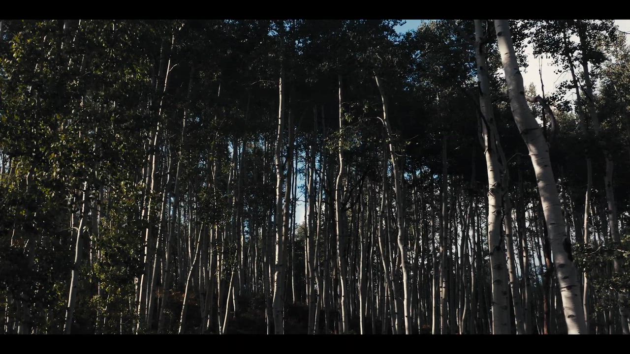 No more time: Official trailer