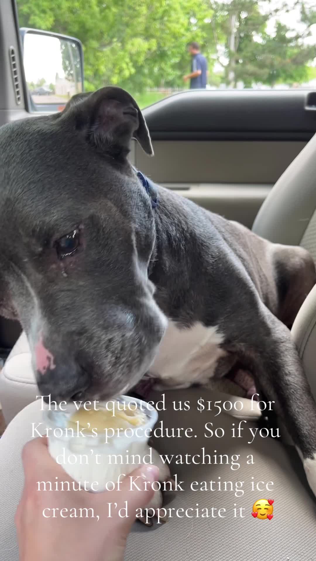 Pitbull is eating ice cream to raise money for his medical expenses!