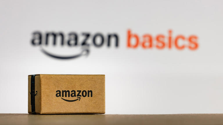 5 cheap Amazon Basics gadgets that customers swear by