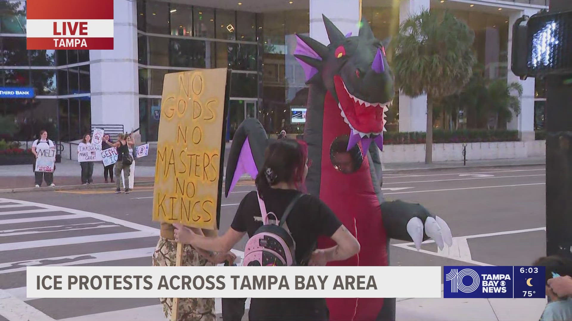 ICE shooting in Minnesota sparks protests across Tampa Bay