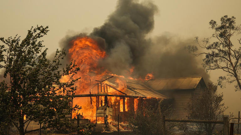 Human remains found in Victoria bushfires