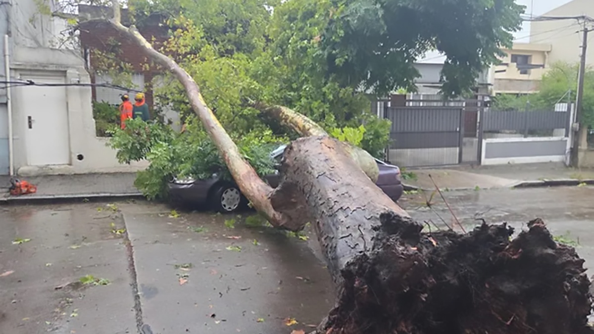 En Montevideo el viento no avisó: 950 llamados y una ciudad expuesta al ...