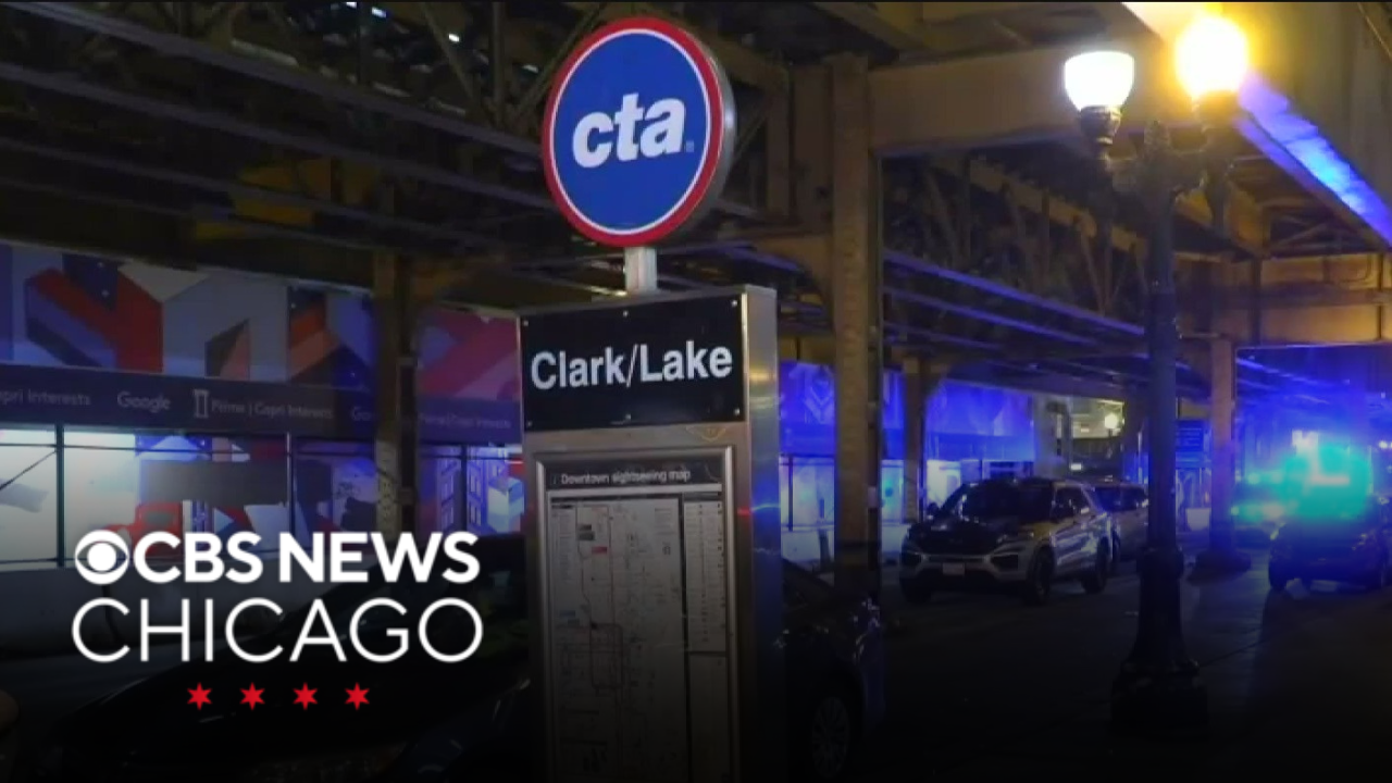 Man killed in stabbing on Blue Line train at Loop CTA station