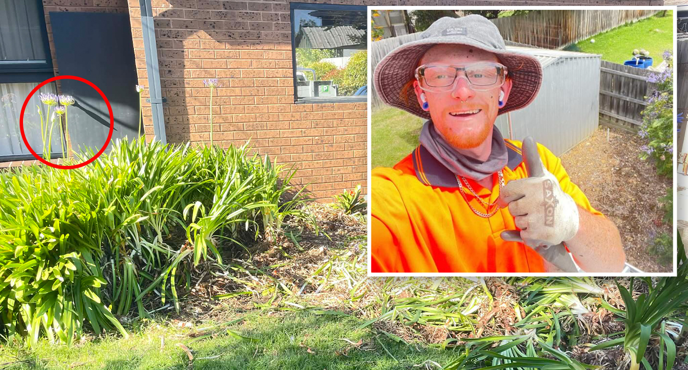 Tradie's 72-hour nightmare exposes brutal backyard pest plaguing Aussie ...