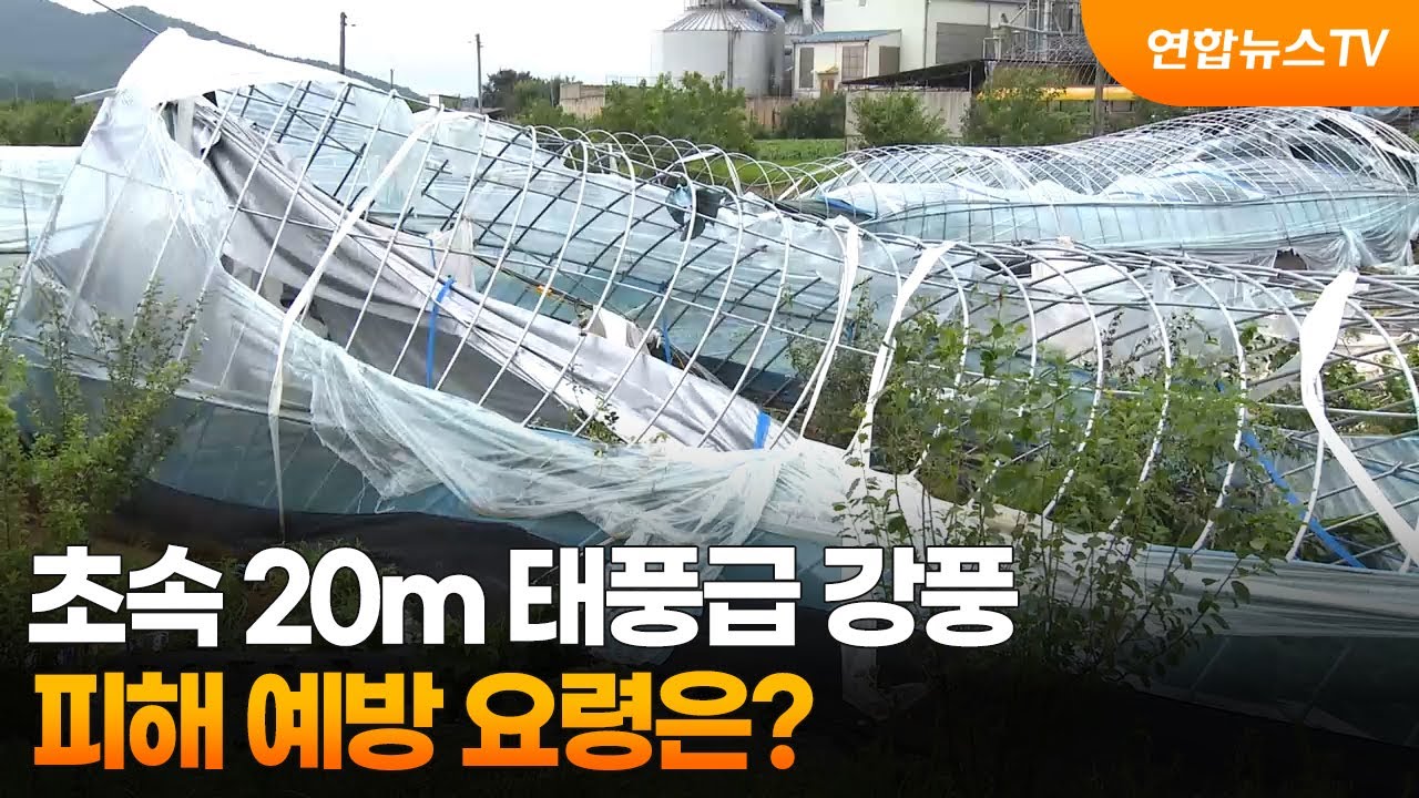 초속 20m 태풍급 강풍…피해 예방 요령은? / 연합뉴스TV (YonhapnewsTV)