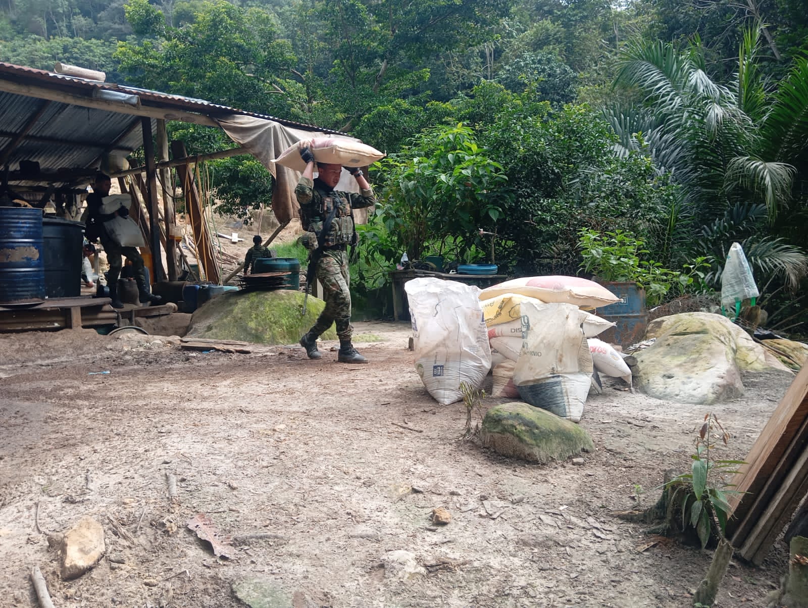 Ejército desmantela laboratorios de coca en zona rural de Cúcuta