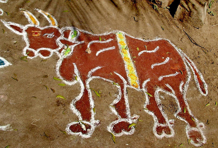 Mattu Pongal 2025 kolam designs that will brighten your festive morning