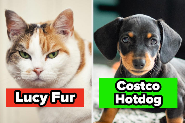 31 of the funniest, cutest, silliest, and most creative names people ...