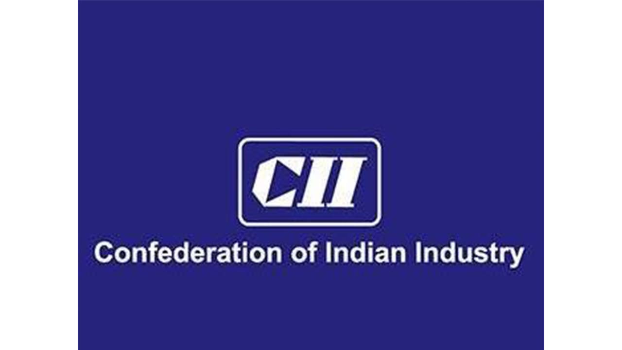 CII urges govt to boost privatisation for Union Budget 2026-27