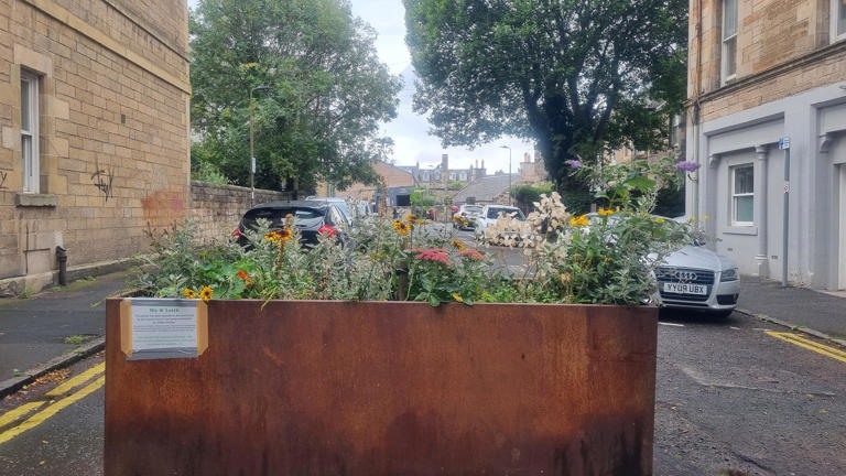 Go green in 2026 to boost health and happiness