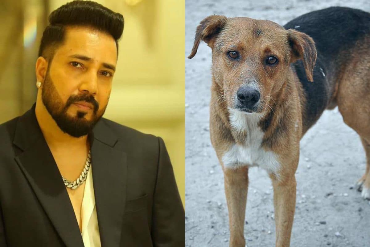 Ready to donate 10 acres of land: Mika Singh appeals to SC on stray dog ...