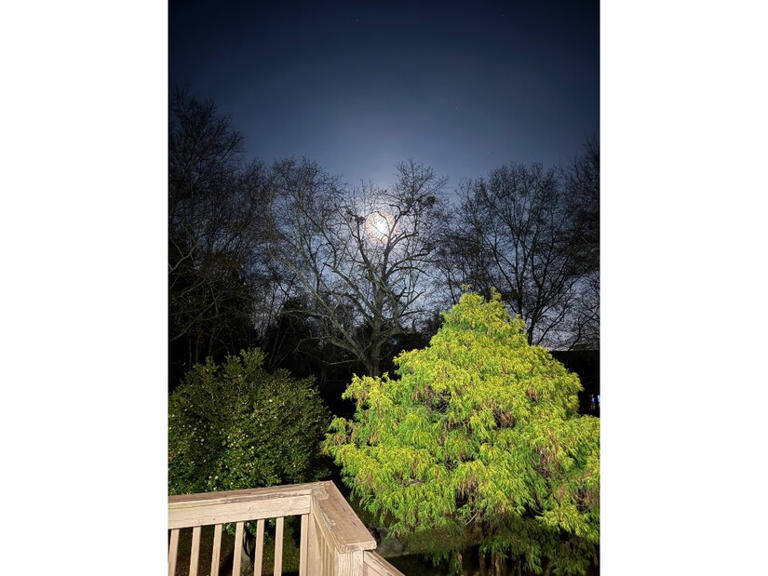 🌱 Patch AM: What the Cartersville GameStop closure means for local ...