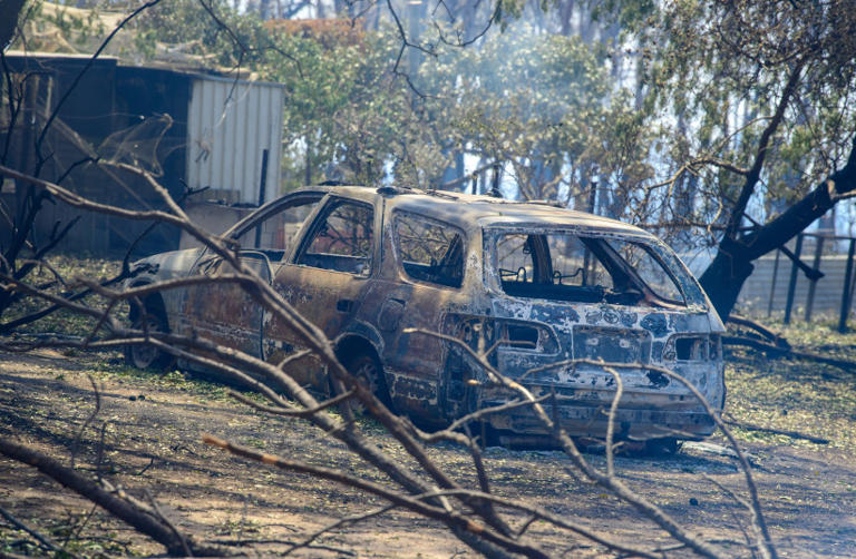 Australia bushfires kill at least one, destroy hundreds of homes in ...