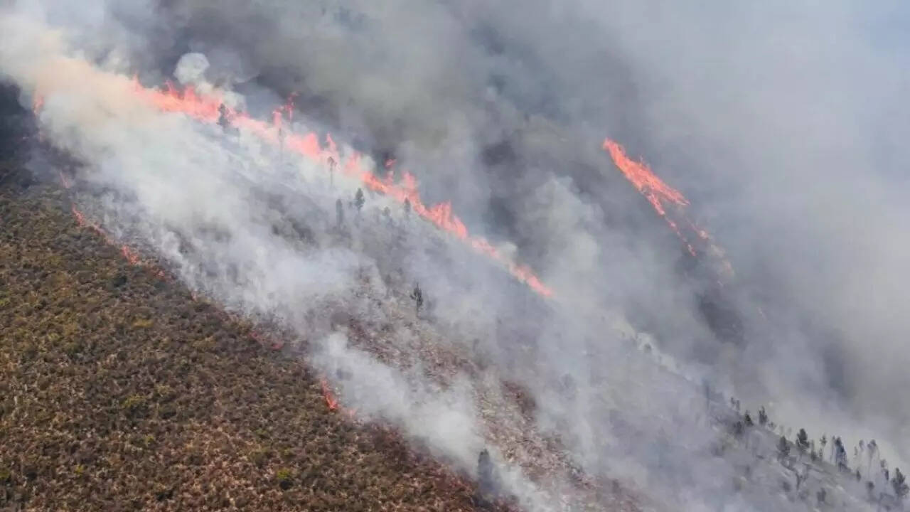 South Africa wildfires: Firefighters battle blazes spreading across ...