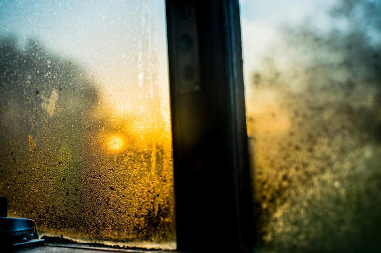 Households urged to leave small bowls of salt behind curtains amid ...