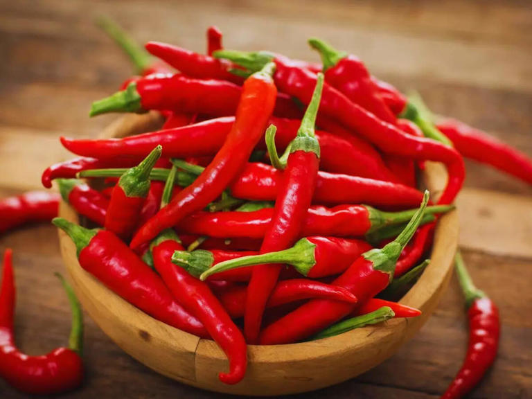 How to grow red chillies on your balcony garden; tips and tricks