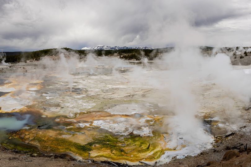 Man fell into Yellowstone hot spring and was 'completely dissolved' as ...