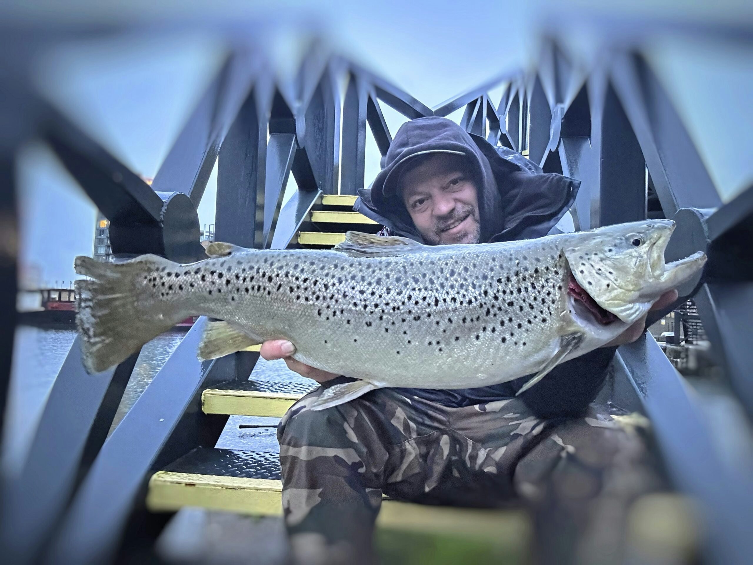 This isn’t a fish you expect to see in London’s docks