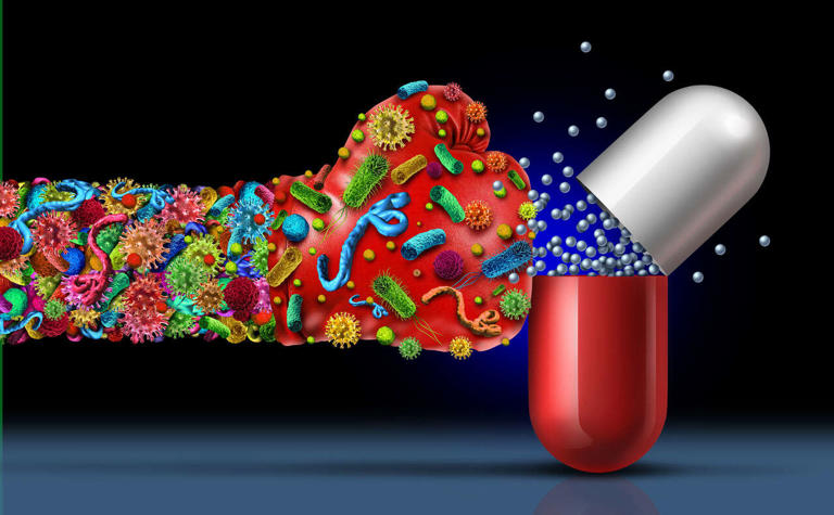 Get to know your microbiome: It can improve gut health and more