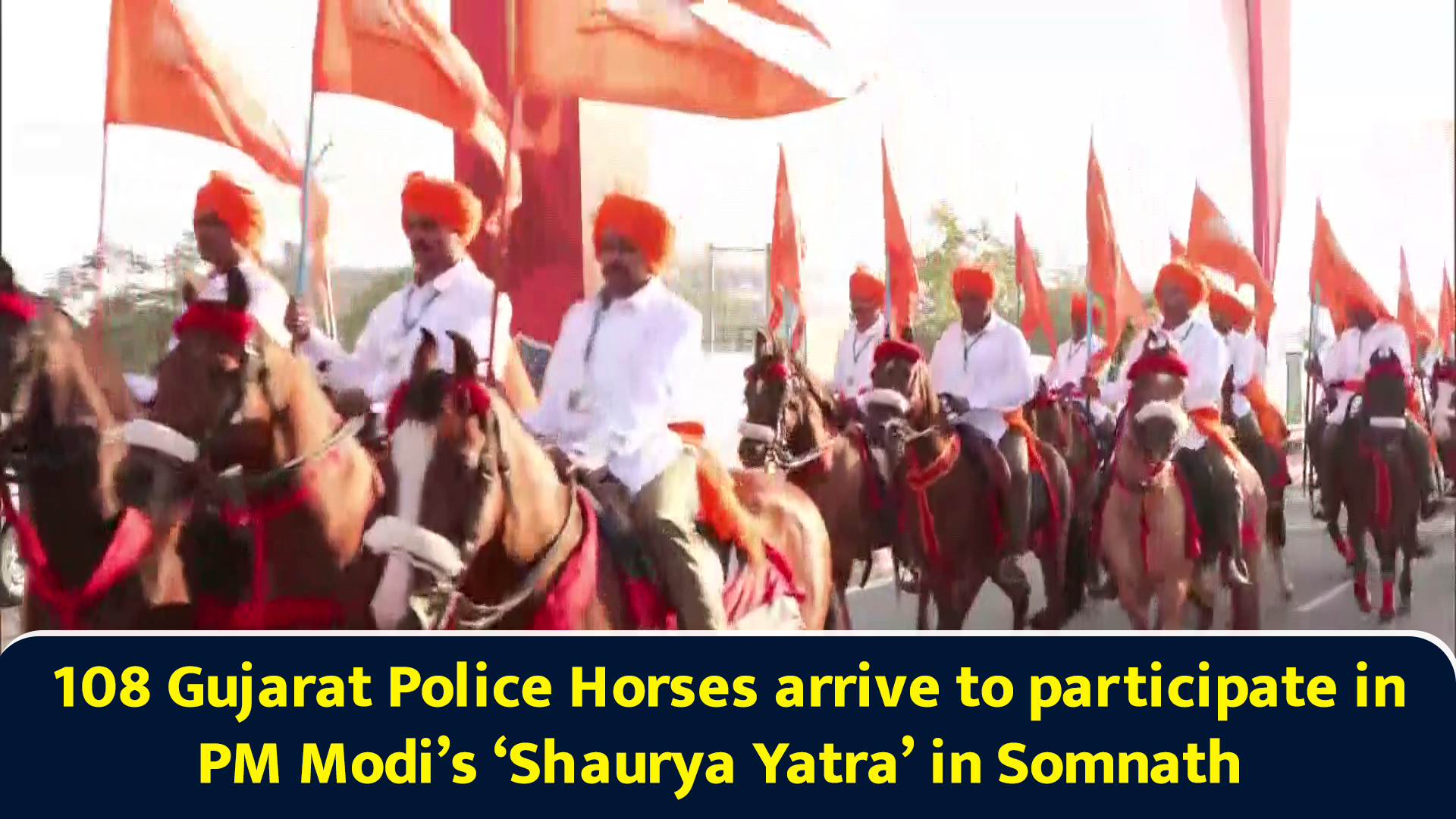 108 Gujarat Police horses arrive to participate in PM Modi’s ‘Shaurya ...