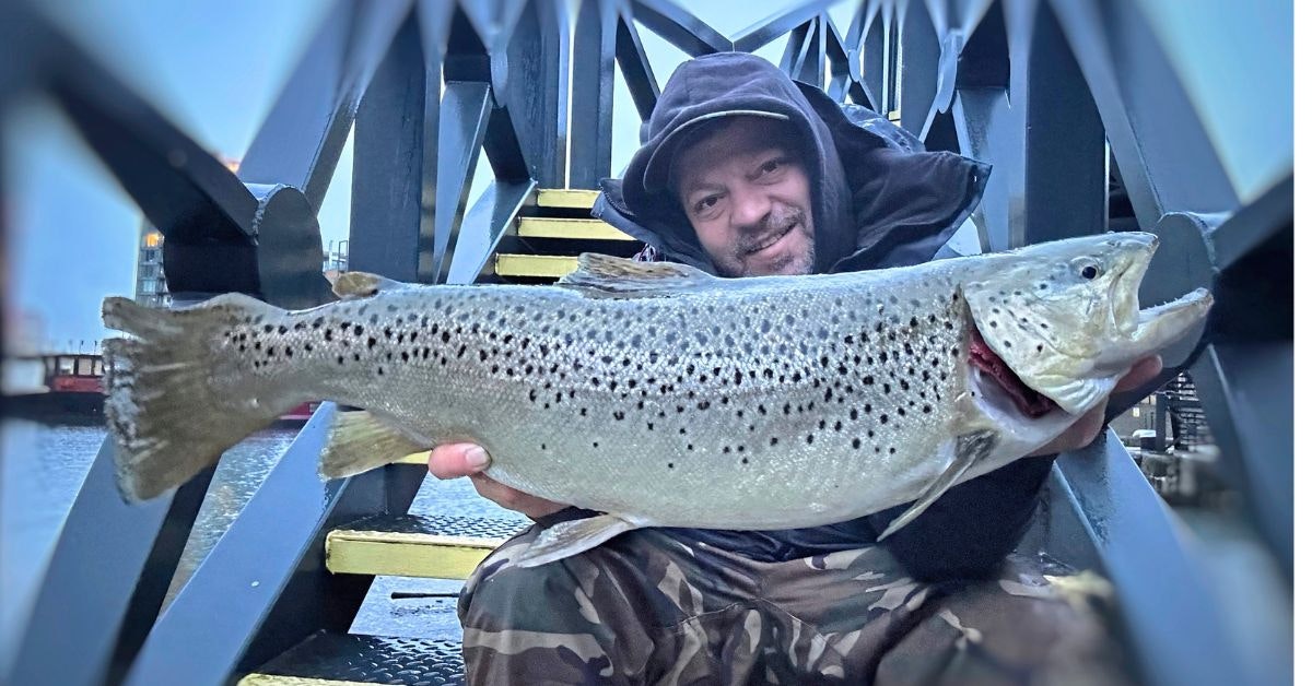 This isn’t a fish you expect to see in London’s docks