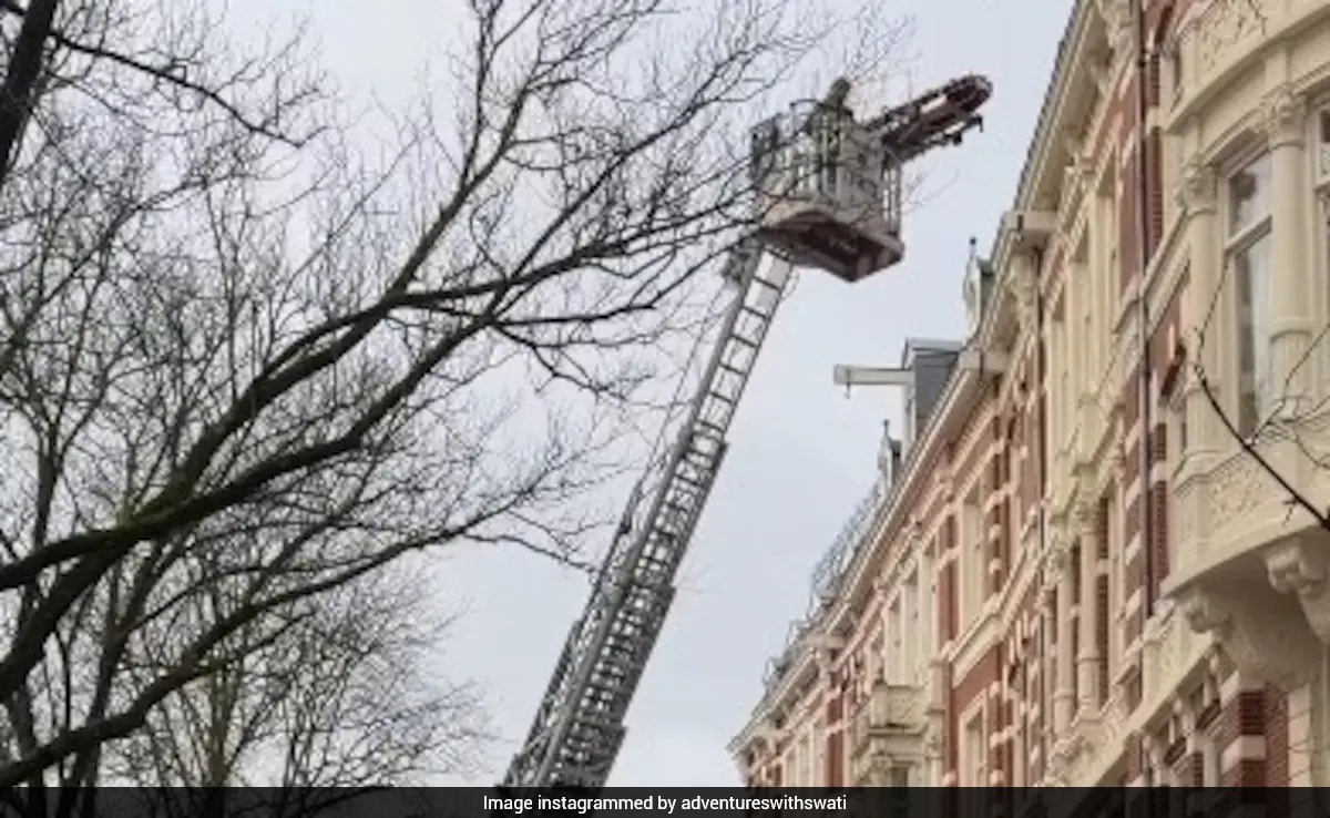 Watch: Indian woman amazed as Dutch firefighters use crane to rescue ...