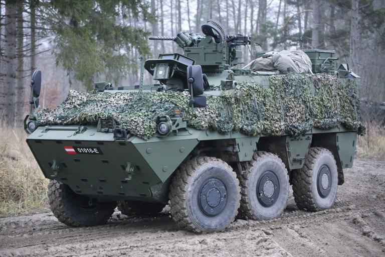Österreichs Bundesheer bekommt jetzt 53 Panzer und 14 Helikopter