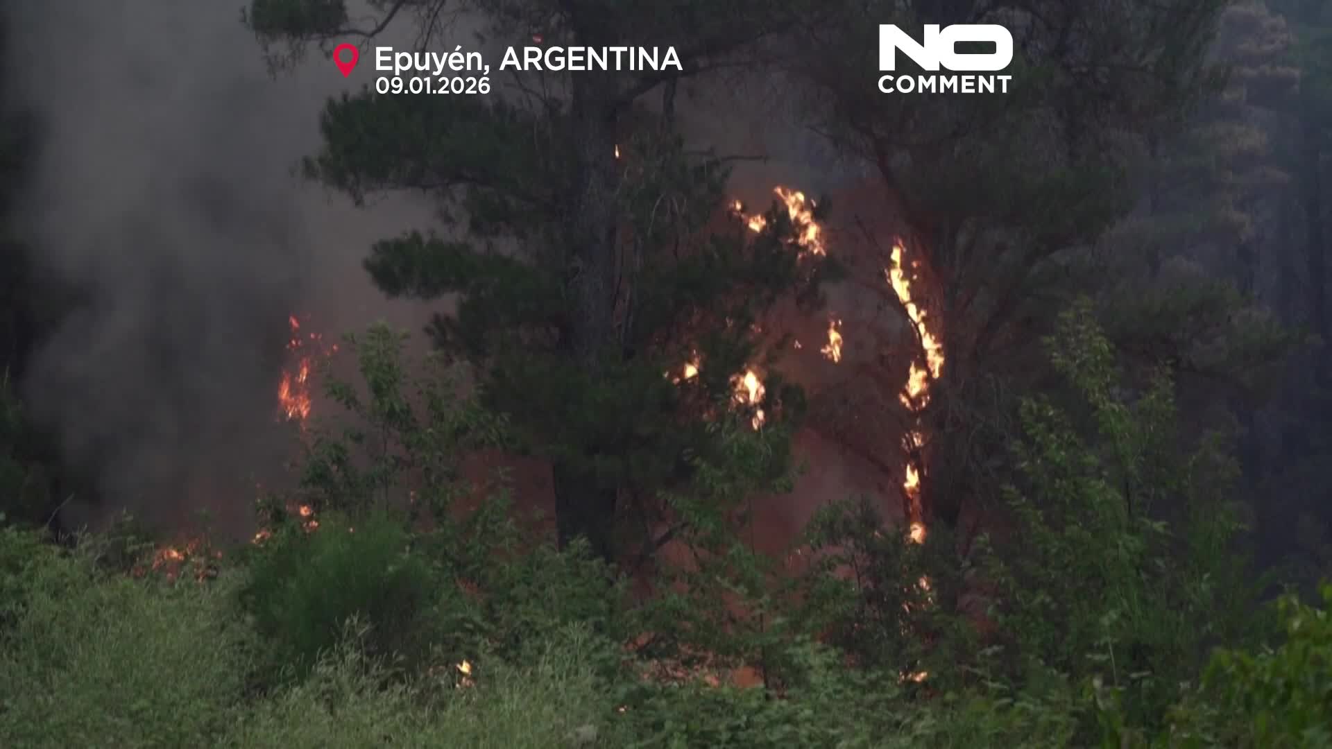 Wildfire burns more than 5,500 hectares in Argentina’s Patagonia