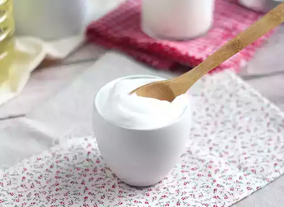 Eggless milk mayonnaise - lactonesa