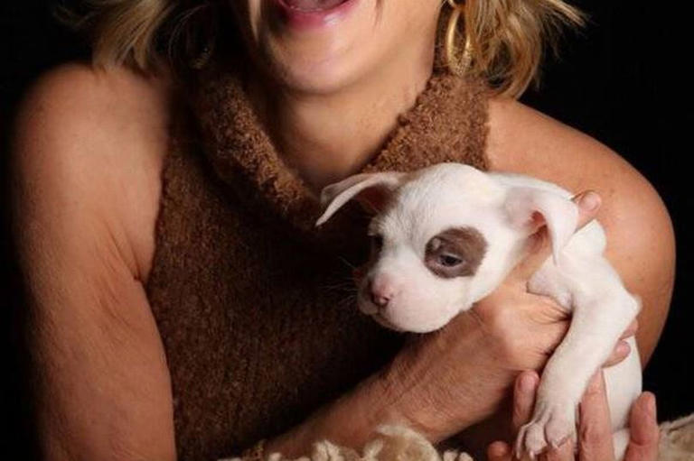 Sharon Stone, 67, looks 'younger than in 90s' in new photos as fans say ...