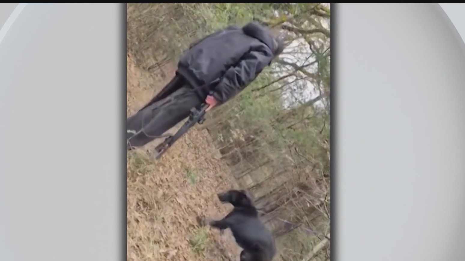 Federal agents raid Hopkins County dog breeder amid animal cruelty ...