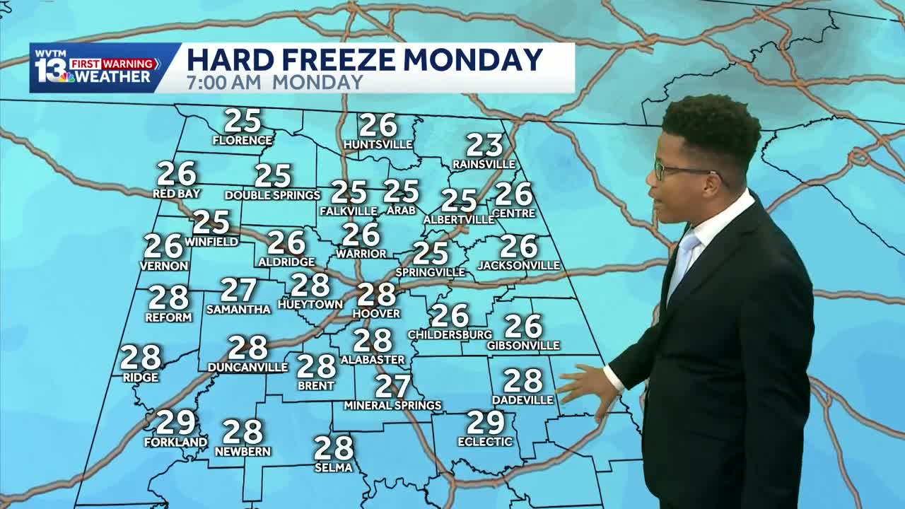 Widespread freeze: Alabama takes an Arctic plunge as the weather ...